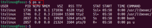 How to Use the ps aux Command in Linux? – Its Linux FOSS