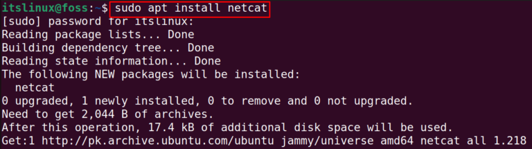 How to Ping a Specific Port? – Its Linux FOSS