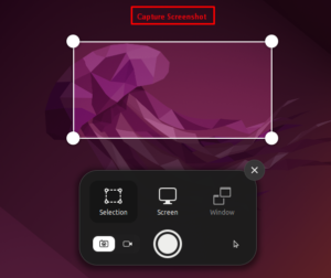 How to Take a Screenshot on Linux? – Its Linux FOSS