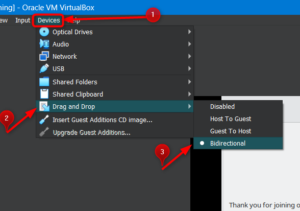 How to Fix “virtualbox drag and drop not working”? – Its Linux FOSS