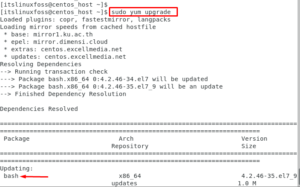 YUM Command Examples to Install, Remove and Upgrade Packages – Its ...