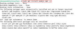 How to Install Node.js and npm on Debian 12 Linux – Its Linux FOSS