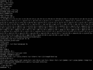 How to Set Environment Variable on Ubuntu 24.04 – Its Linux FOSS