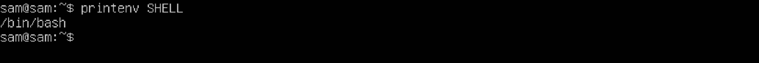 How to Set Environment Variable on Ubuntu 24.04 – Its Linux FOSS