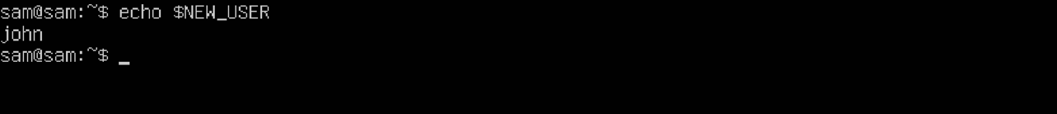 How to Set Environment Variable on Ubuntu 24.04 – Its Linux FOSS