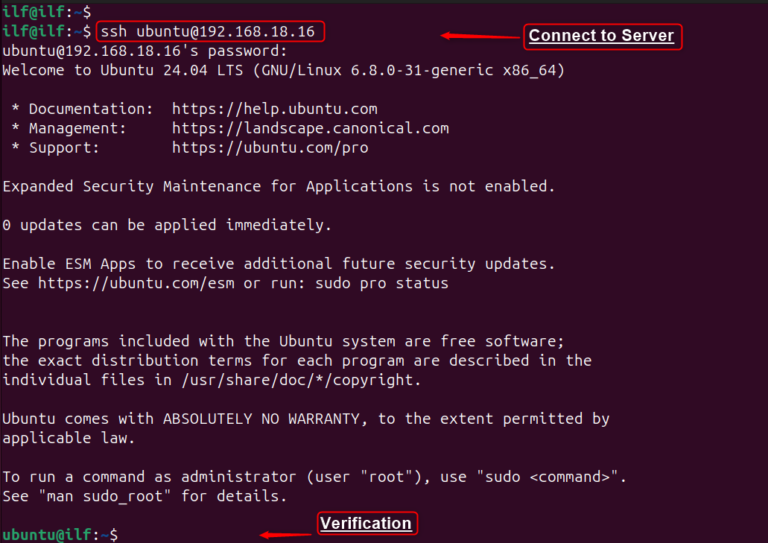 How to Update Ubuntu Using the Command Line? – Its Linux FOSS