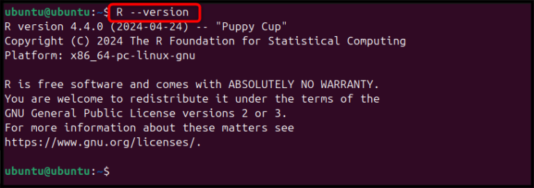 How to Install R on Ubuntu 24.04 LTS – Its Linux FOSS