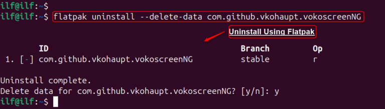 How to Install and Use Screen Recorder Ubuntu 24.04