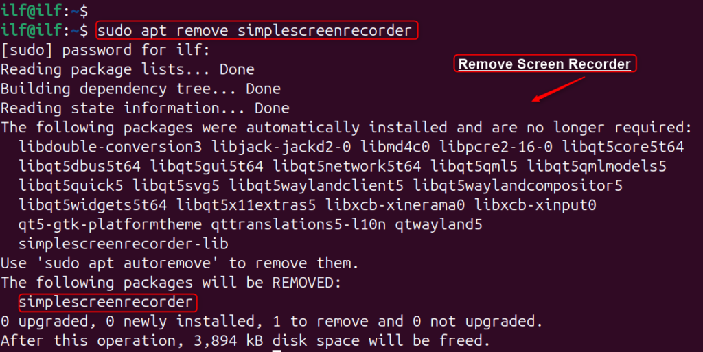 How to Install and Use Screen Recorder Ubuntu 24.04