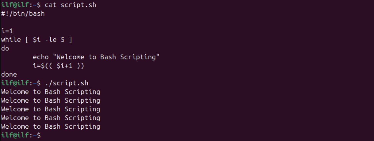 Introduction To Bash While Loop With Examples Its Linux Foss