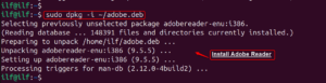 How to Install Adobe Acrobat Reader on Ubuntu 24.04 – Its Linux FOSS