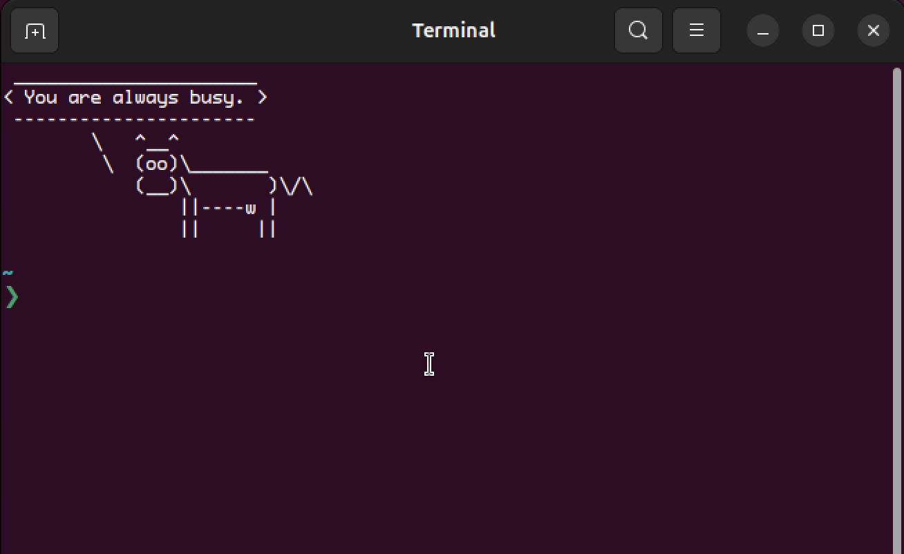 How to Customize Your Terminal and Make it Look Beautiful