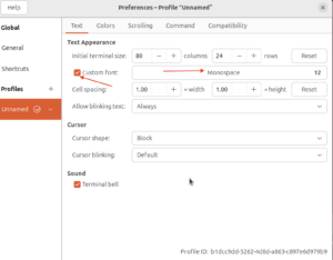 How to Customize Your Terminal and Make it Look Beautiful